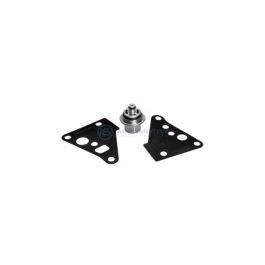 Fuel Pressure Regulator Repair Kit Td5 MSO000060 MSO000080 LR016318 ...