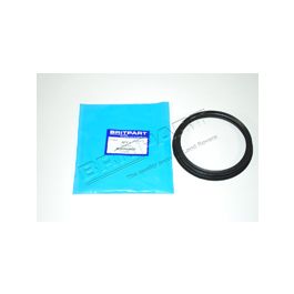 Fuel Tank Pump/Sender Sealing Ring (Britpart) WGQ500020 ESR3806