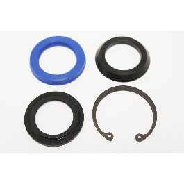 Steering Box Seal Kit -Output- (Transtec) STC2848