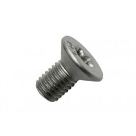 Brake Disc Screw M10 X 1.5 D3 D4 RRS (OEM) SYP100241